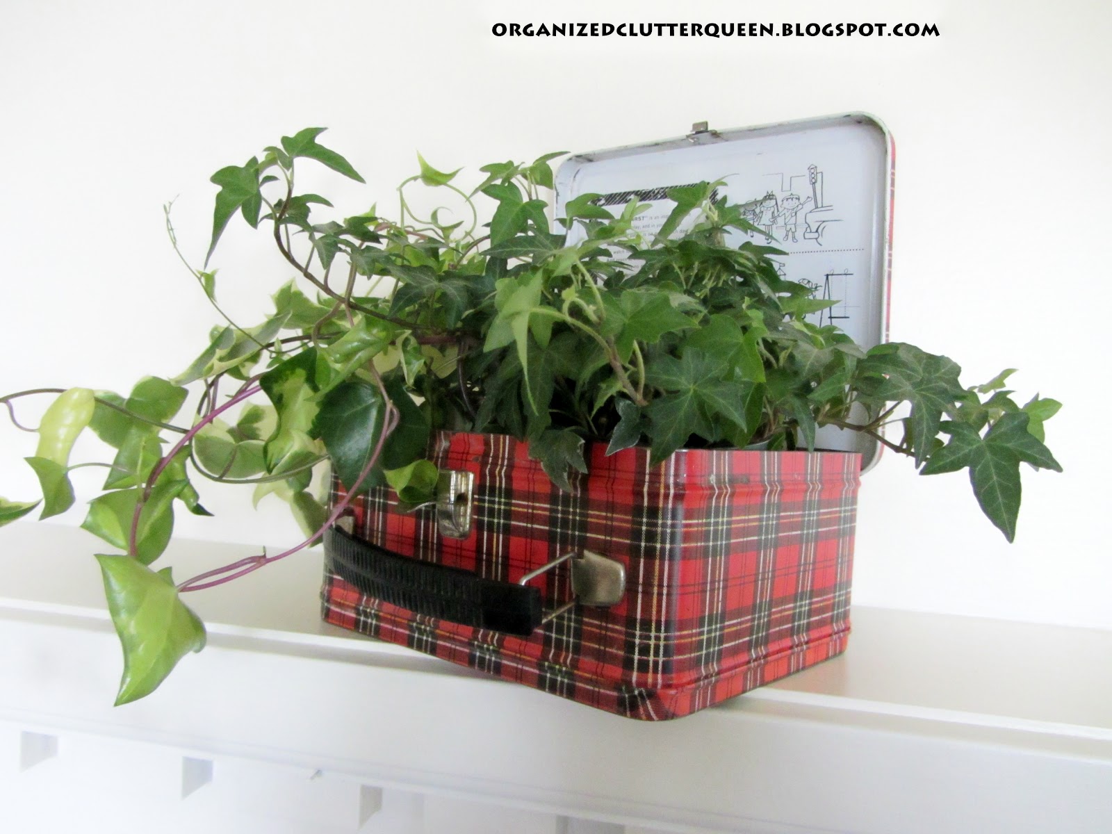 Houseplants Make a Home - Organized Clutter