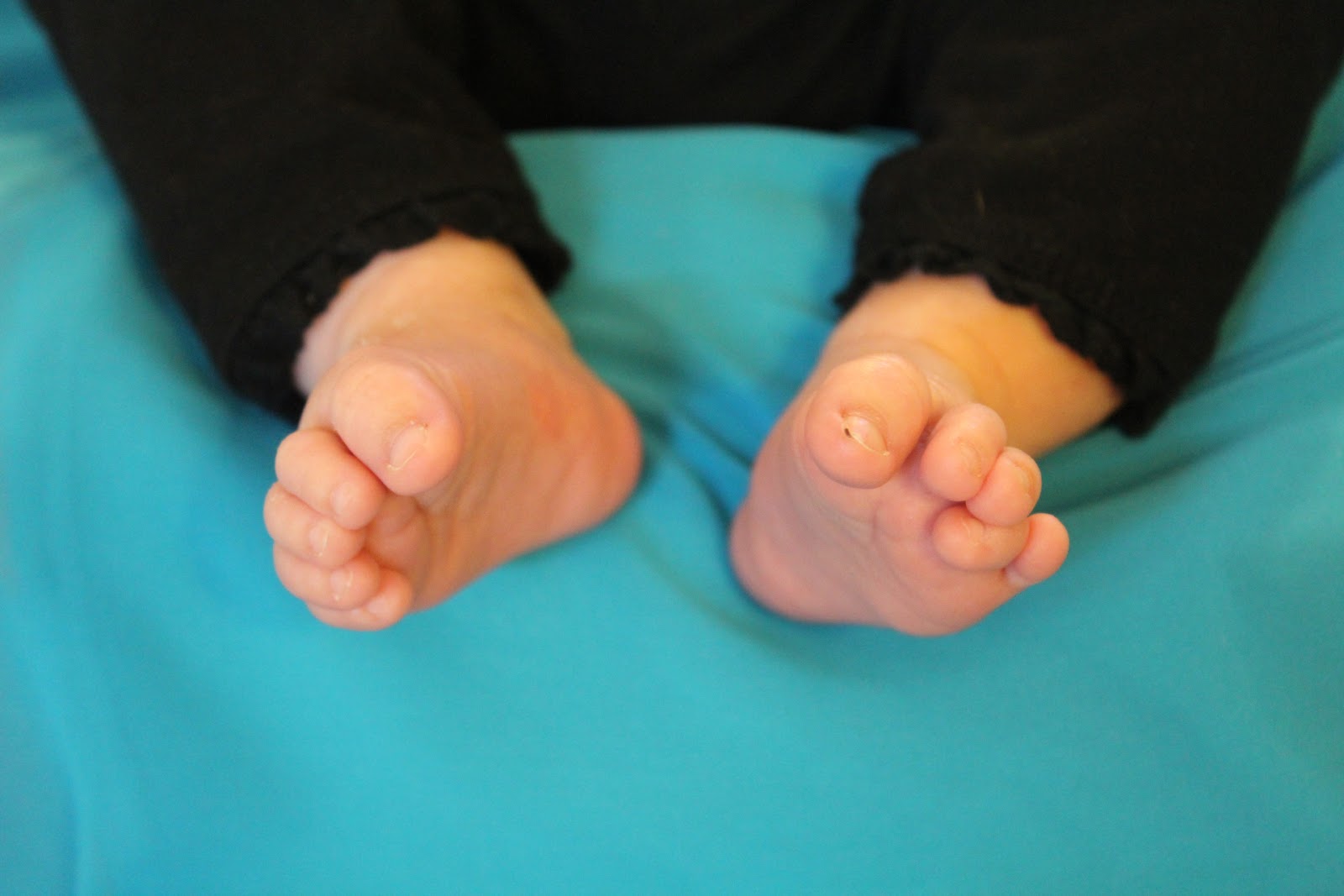 Nest Tiny Feet nest-tiny-feet