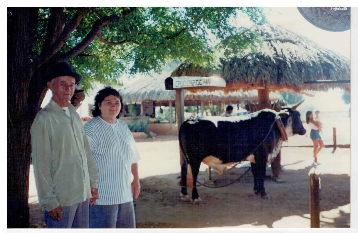 OS PARABÉNS PELOS VIVIDOS 90 ANOS DE SEU ANDRÉ PEREIRA DE CARVALHO ...