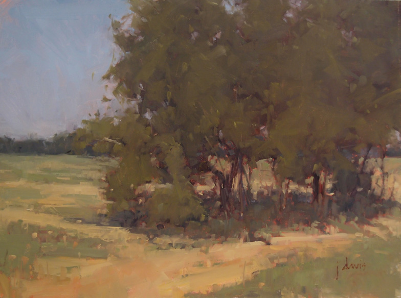 JULIE DAVIS: Shady Spot