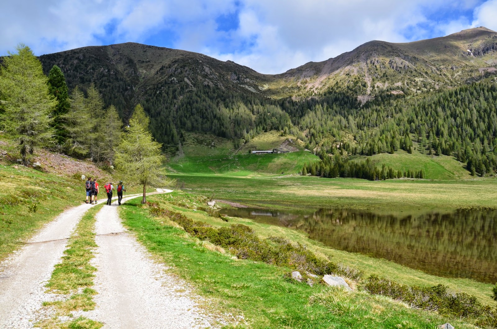 Montagna a tutta birra: Anello del Monte Croce, 2490 m - Lagorai