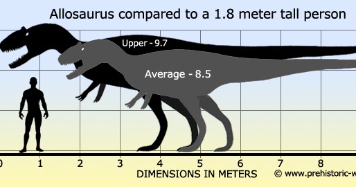 Prehistoric Dinosaur Facts: Allosaurus