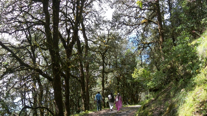 Uttarakhand Devbhoomi: Binsar, Almora