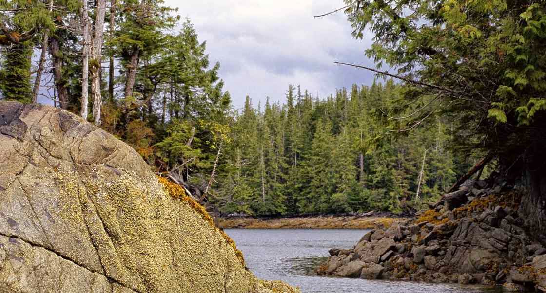 El condicionamiento de las estaciones y la altitud en los bosques ...