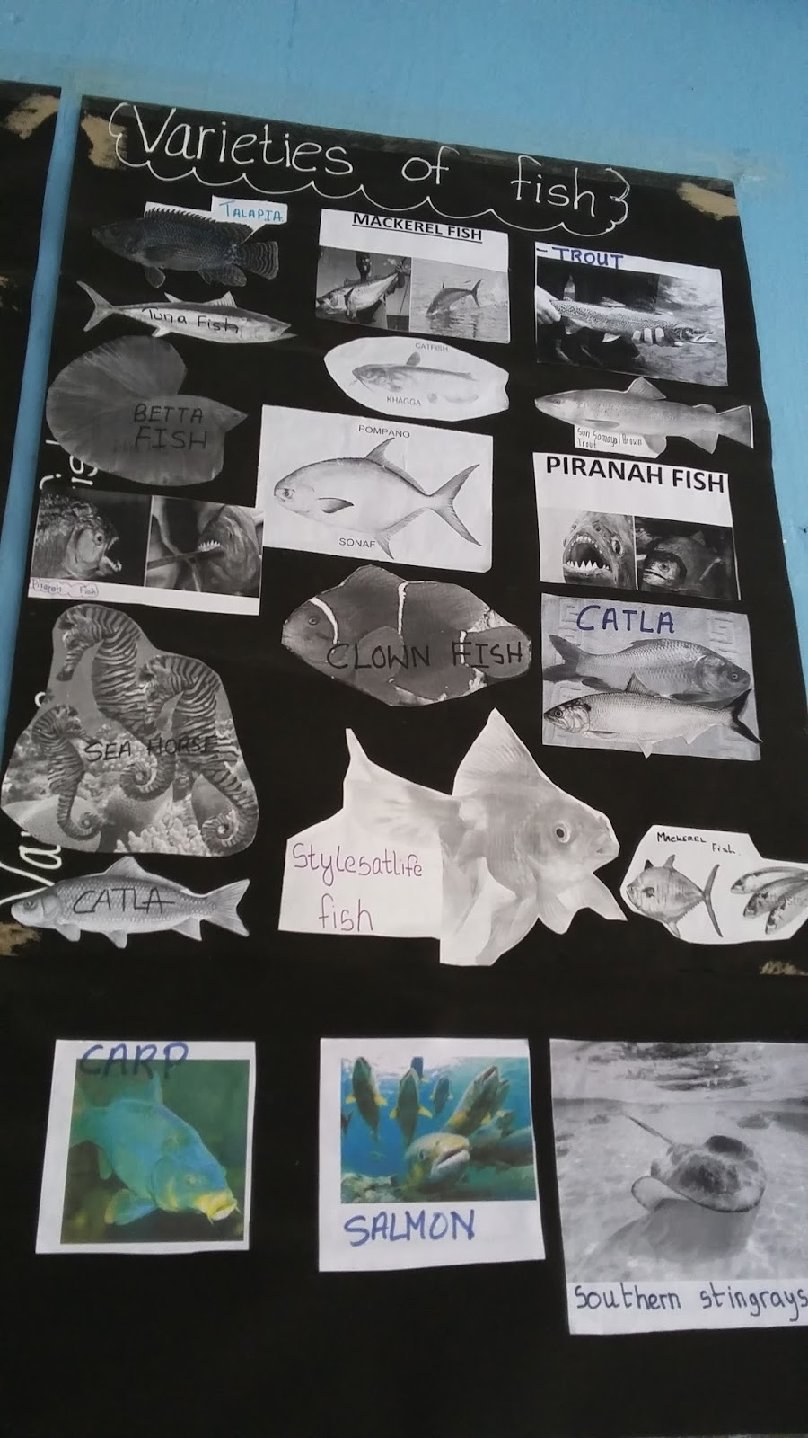 My ICT Journal