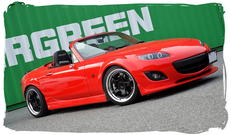 Eye lids color matching - MX-5 Miata Forum