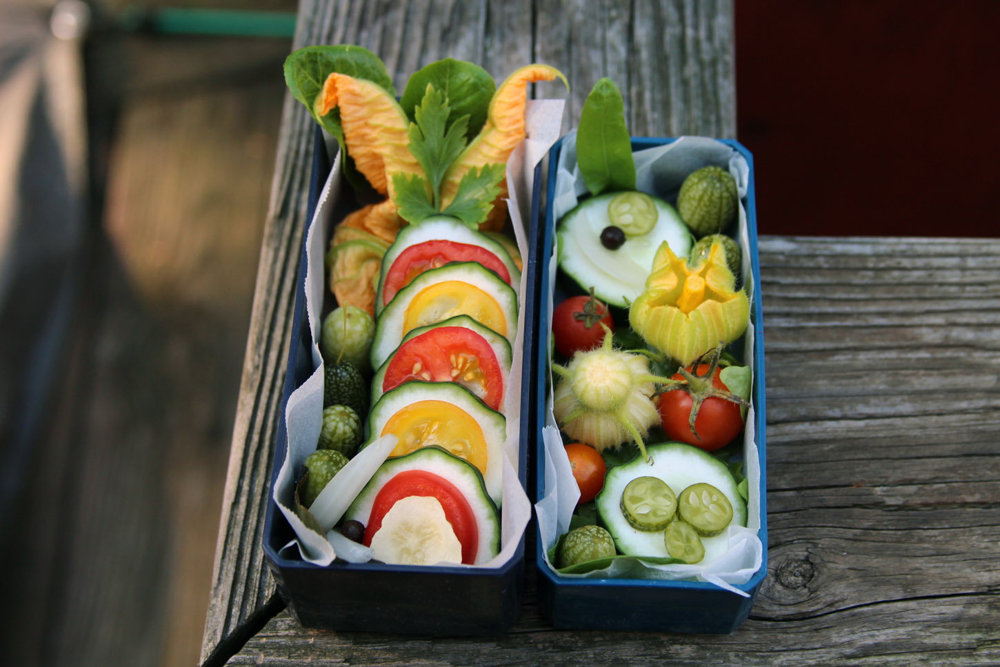 One Girl's Bento: Deconstructed Summer Salad Bento
