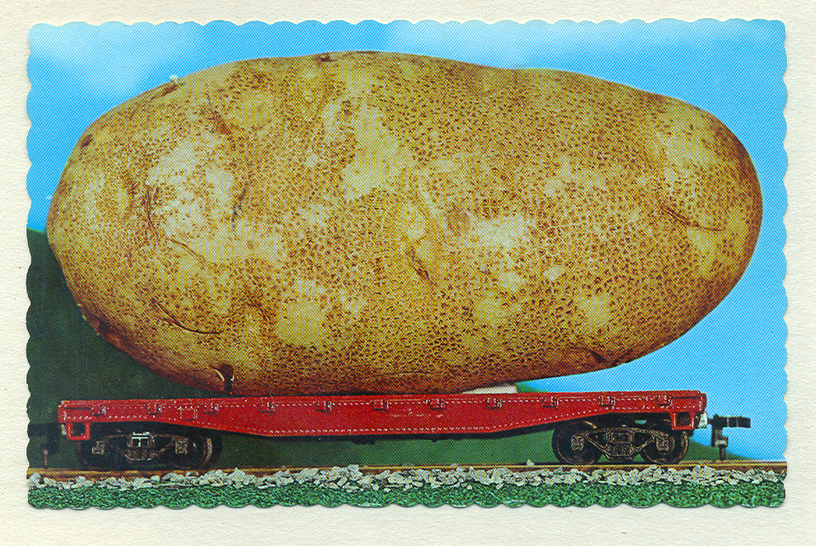 Tracy's Toys (and Some Other Stuff): Giant Potato Postcard