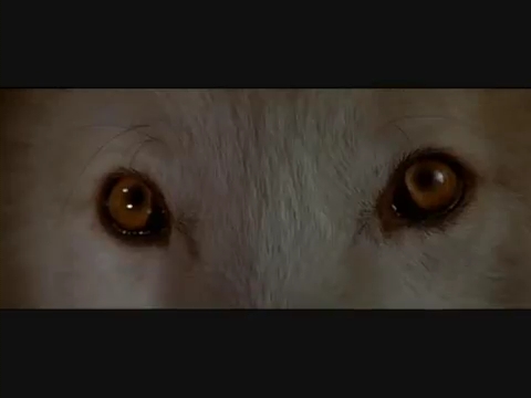 Sticky Red: A Bodycount Compendium: Werewolf Whodunit: Wolfen (1981)