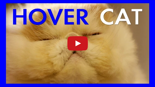 Super Epic Cats: Hover Cat