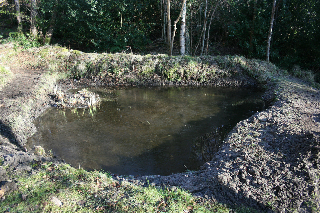Abriachan Nurseries - The Garden On Loch Ness: The Boiling Pond