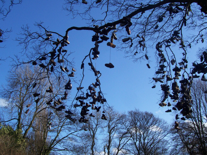 Photographs Of Newcastle: Armstrong Park - The Shoe Tree