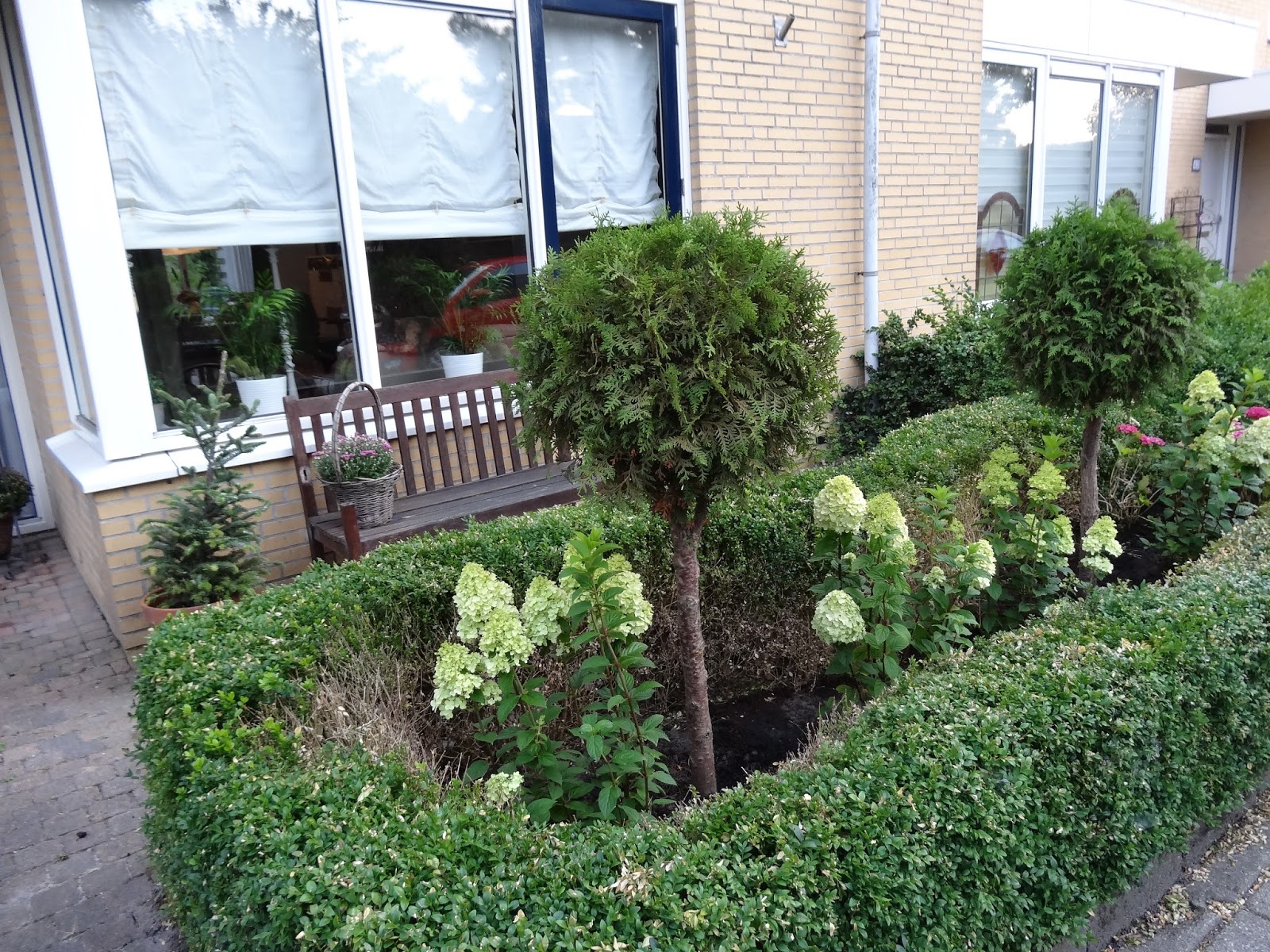 Blauw ruitje: voortuin