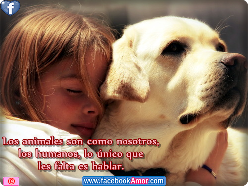 Imagenes animales con frases de amor - Imagui
