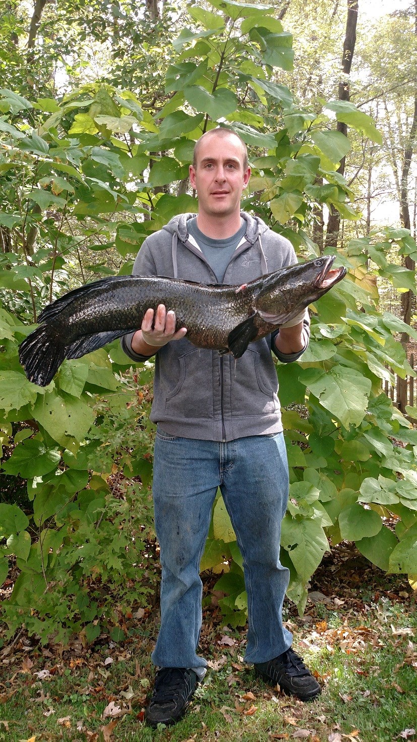 A View from the Beach: New Maryland Record Snakehead?