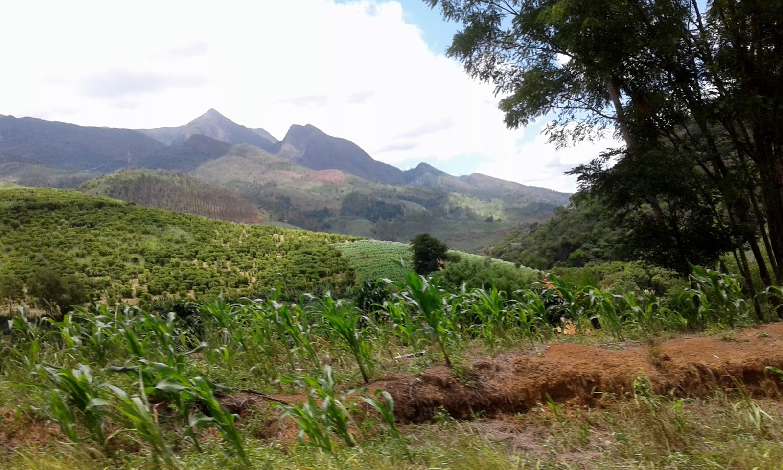 Imagens Rurais: 2017