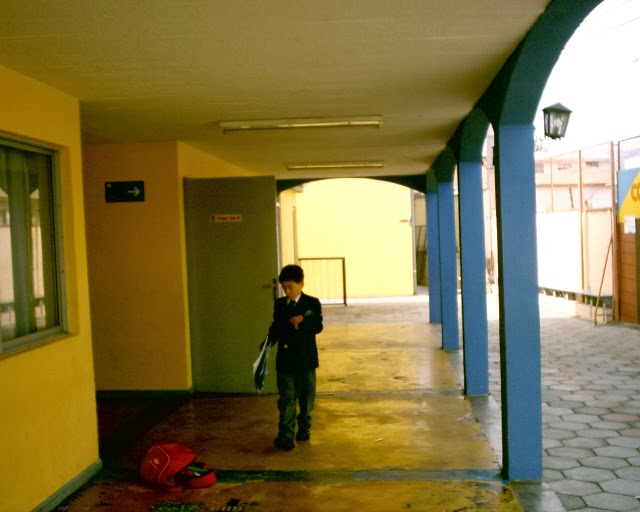 Proyecto del Alba 2013: La Historia del Colegio del Alba