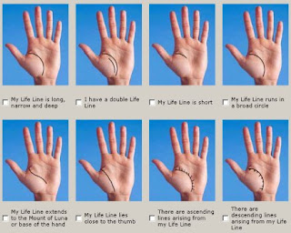 Palmistry Reading Lines: The Basics of Palm Reading