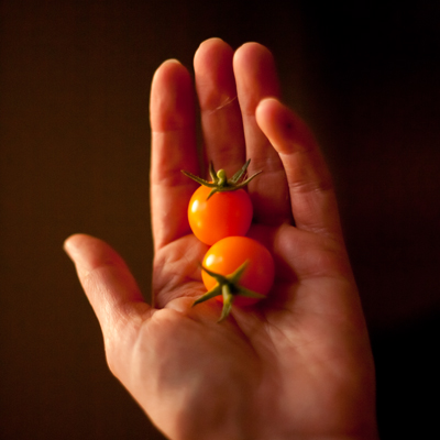 First Ripe Tomato