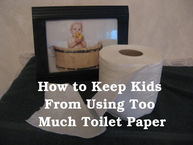 Supermommy!...or not.: How to Keep Kids From Using Too Much Toilet Paper