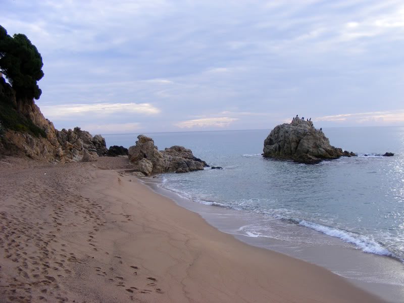 Playa de la Roca Grossa (Calella)