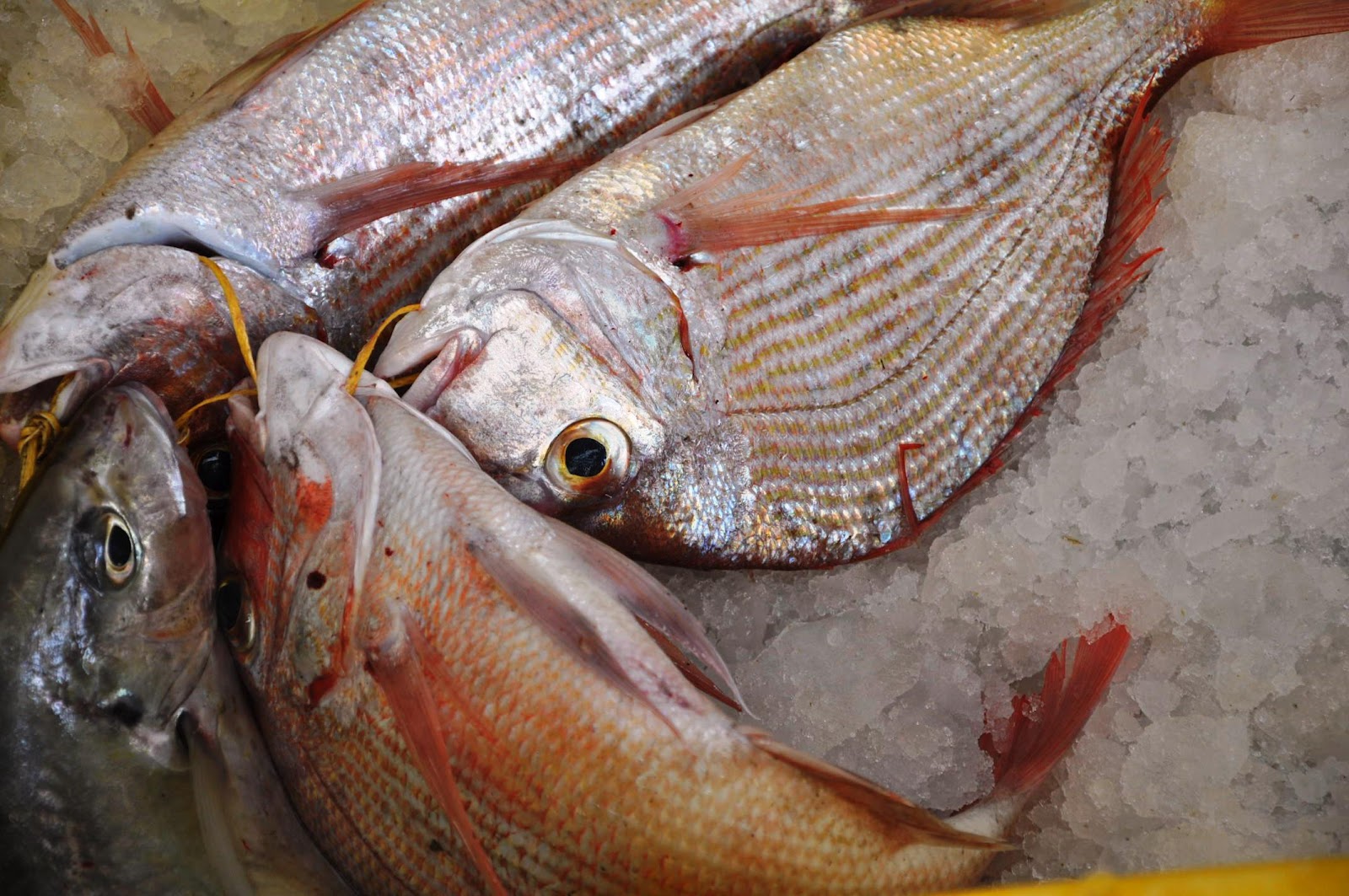 Beauty of Sohar: Put on