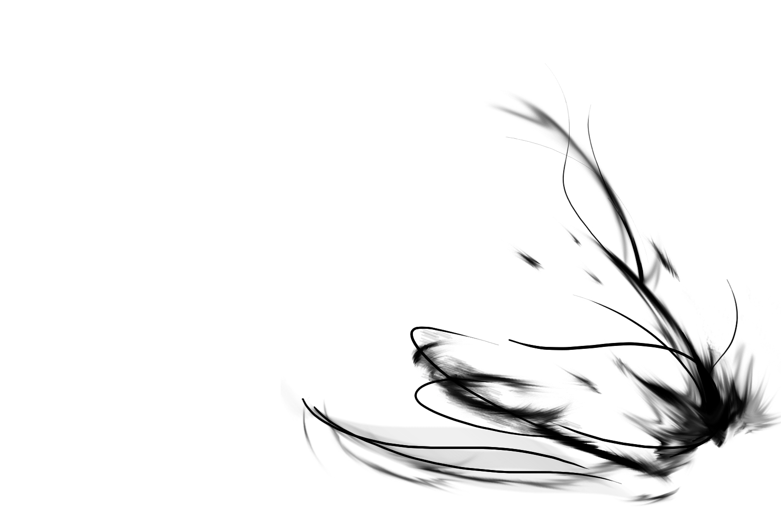 White Wallpapers | Real Wallpapers HD