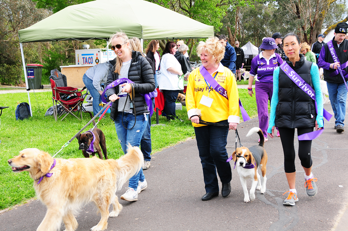 Bark for Life Walk Against Cancer - Oct 29 | Australian Dog Lover