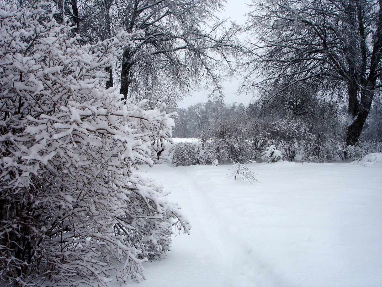 Mana pasaule...: -ziema-