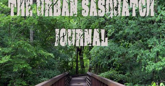 The Urban Sasquatch Journal: Drawing Them Out of Hiding