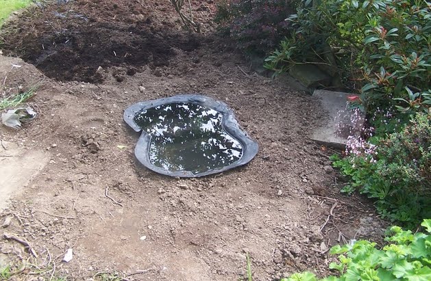 Our Plot at Green Lane Allotments: Puddle Pond
