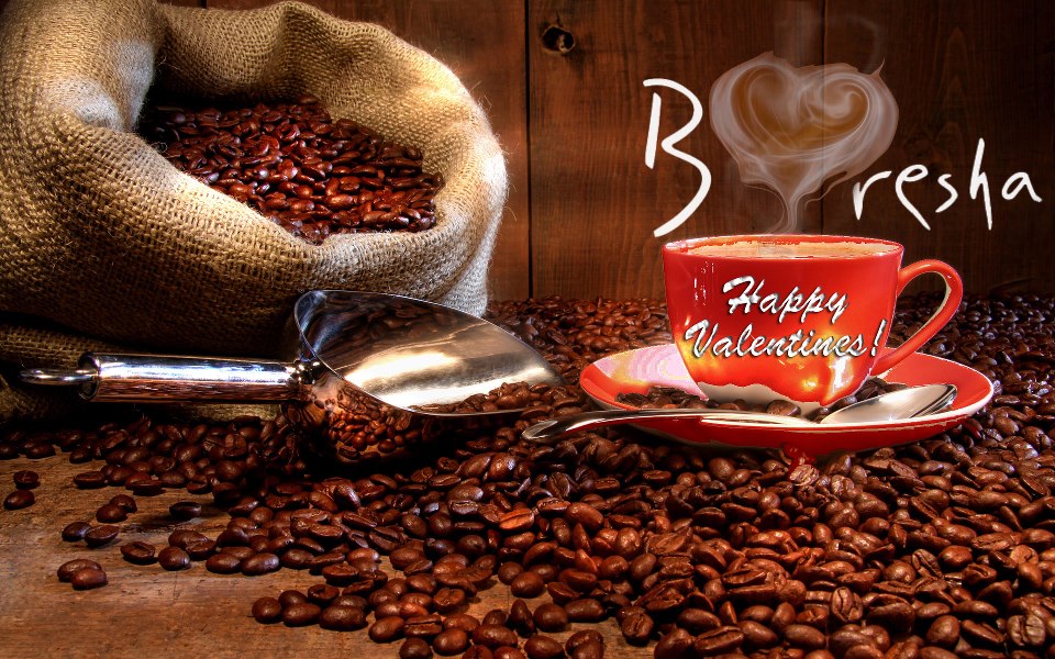 Ambassador's Travel: Boresha Philippines: Pre-Launch Marketing Trainings