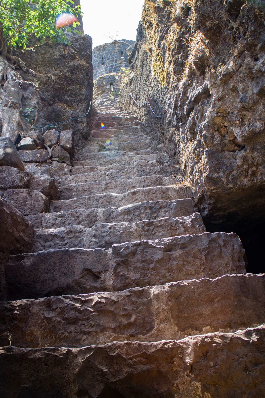 Field Clicks: May 2015