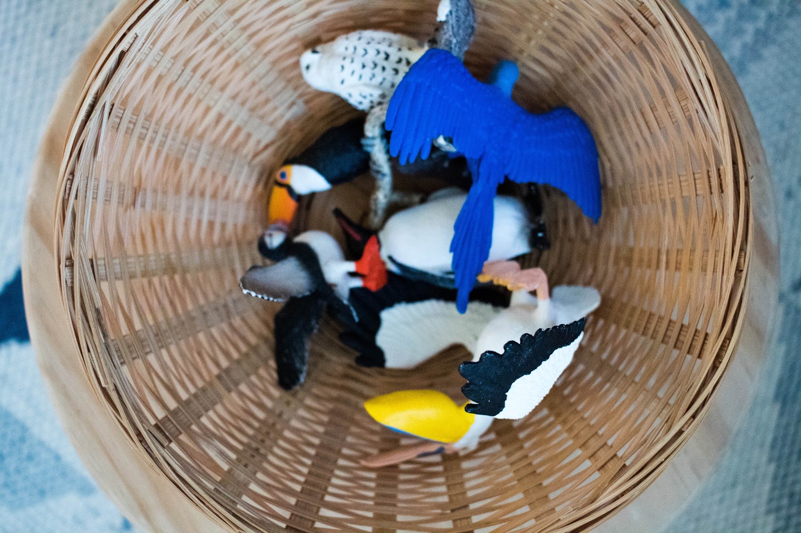 A Basket of Birds -- Montessori Young Toddler Week 20