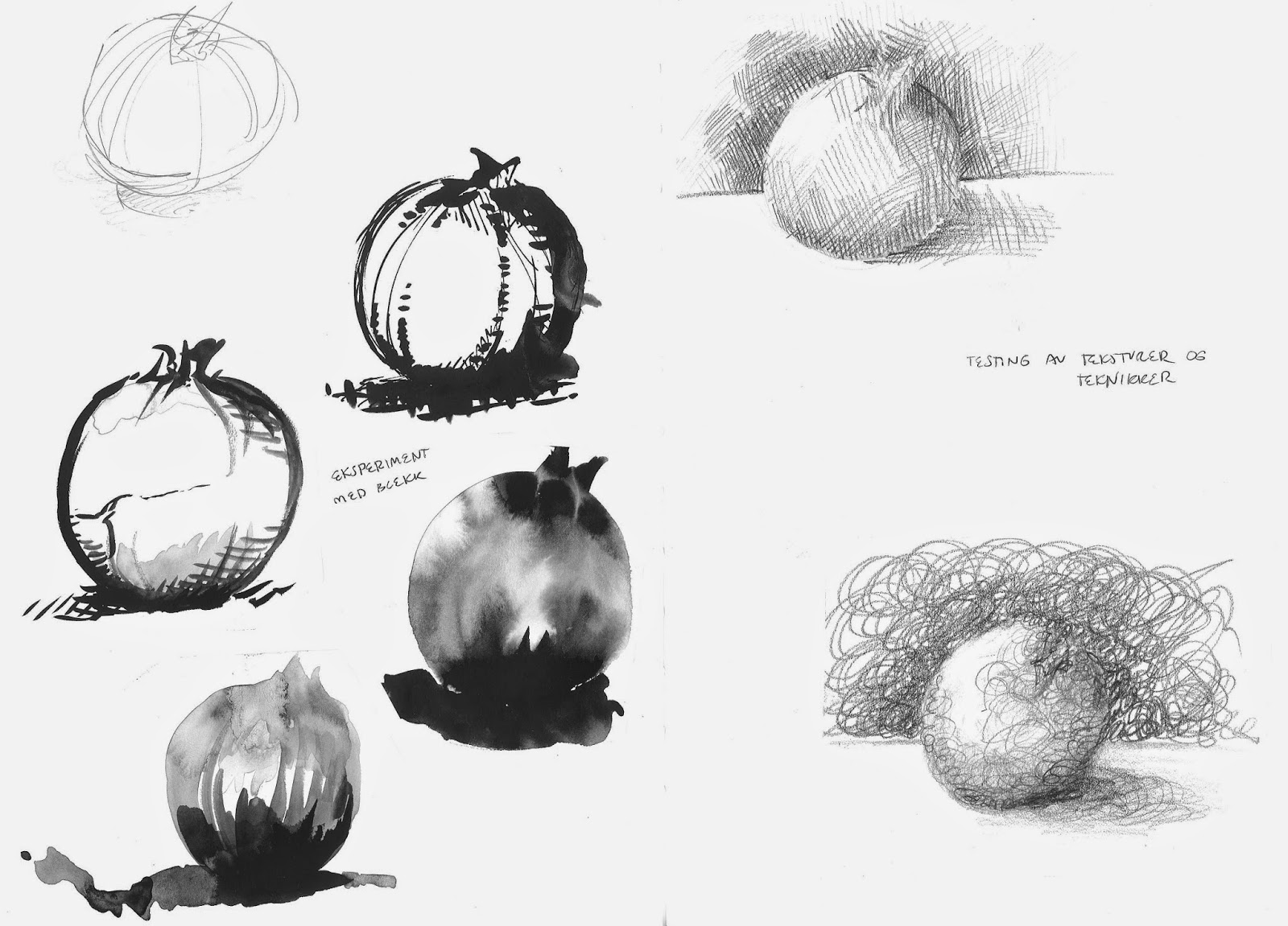 Thora Storm.KUNST DESIGN OG ARKITEKTUR: Tegning av løk