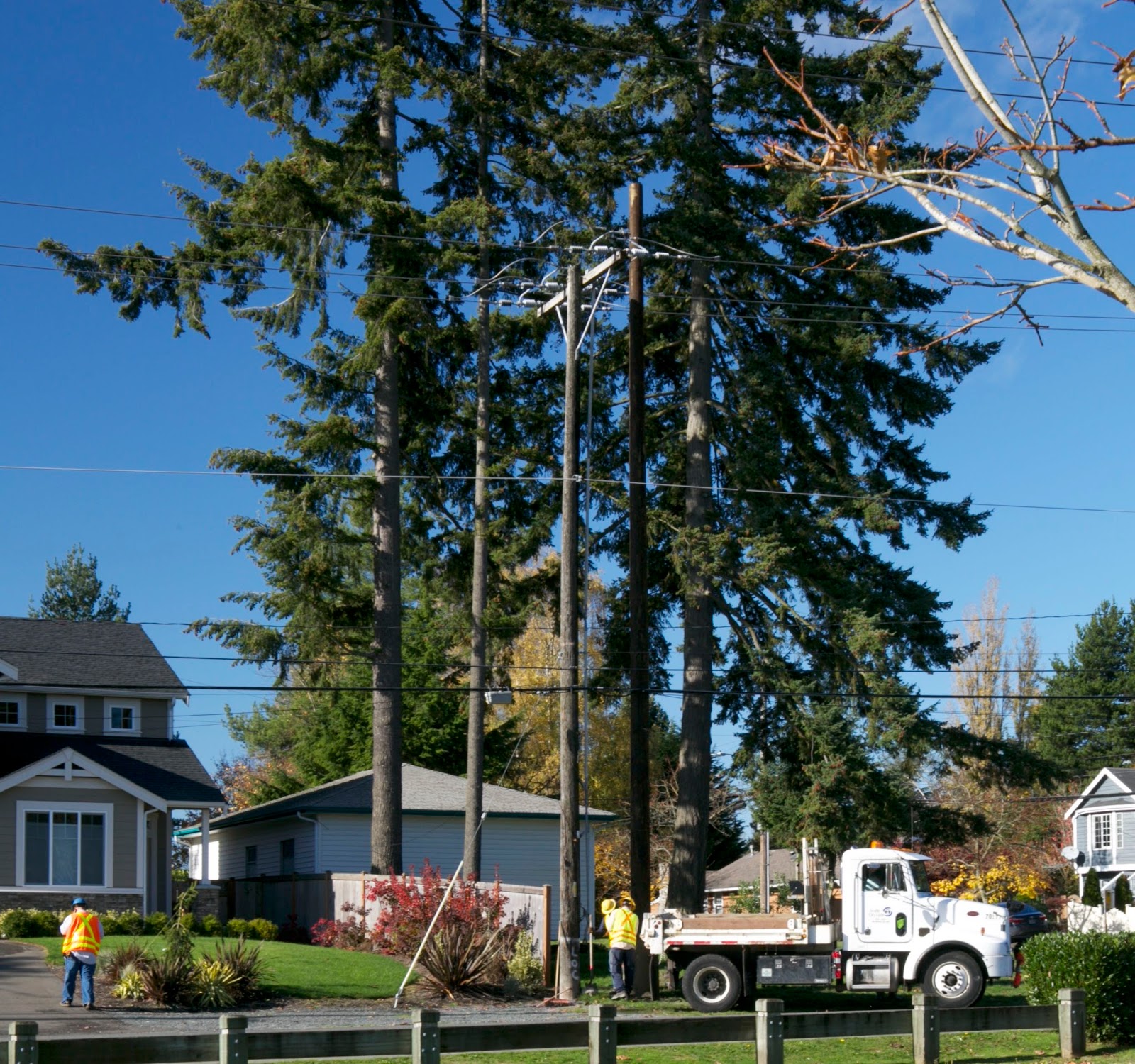 Shoreline Area News: Photos: Seattle City Light utility pole ...