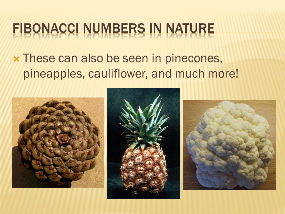 MathsEasyLearn Fibonacci Series Number Sequence God Number Series MathsEasyLearn Fibonacci Series Number Sequence God Number Series