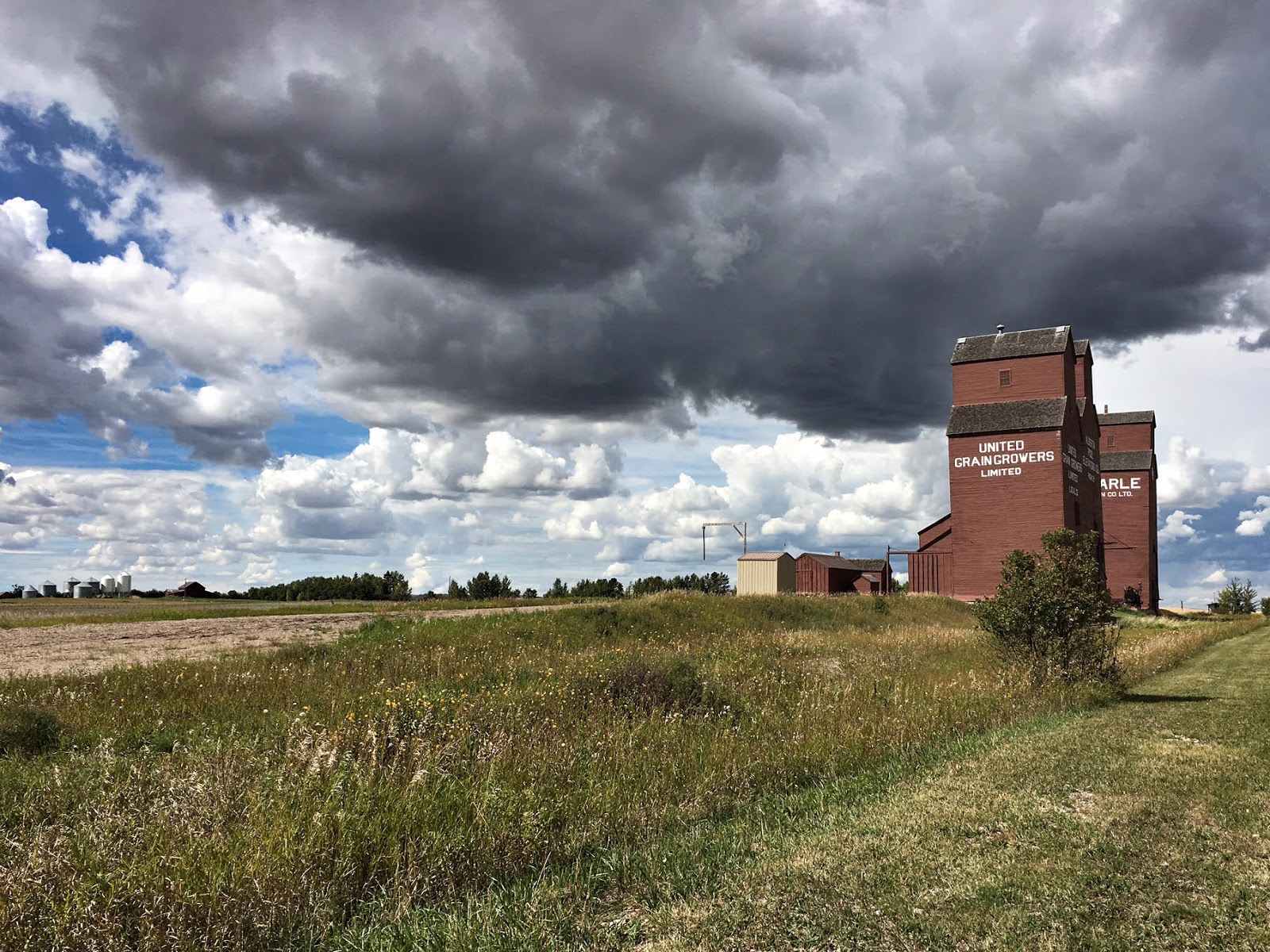 West of the 5th : Rowley