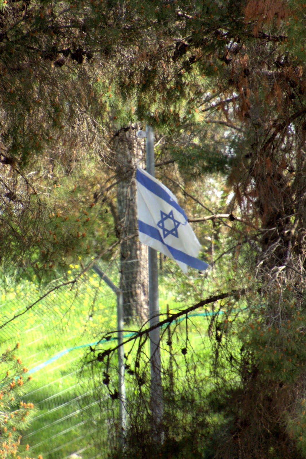 As Robbie Sees It - Israel: Kibbutz Malkia
