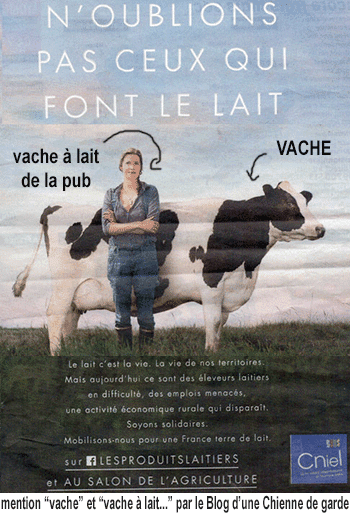 humOur de dogue: "pub : le sexisme de moins en moins toléré ?" MEUH oui ...