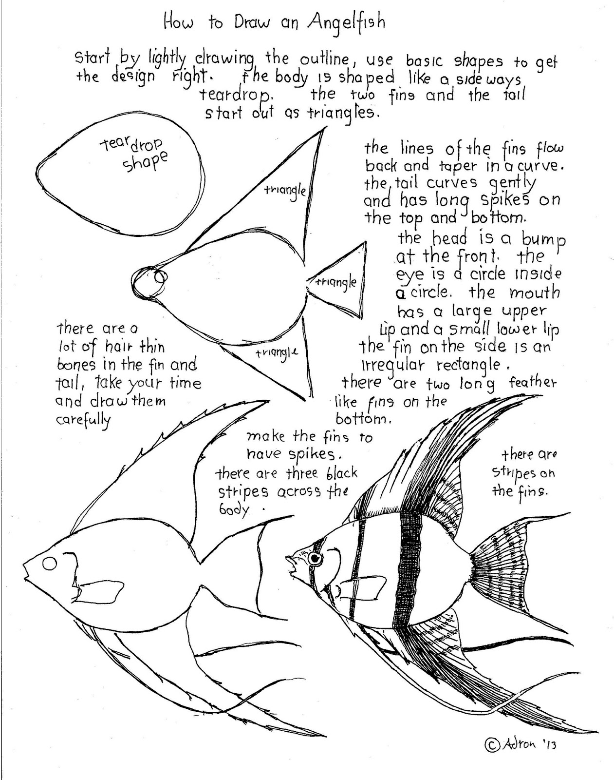How to Draw Worksheets for The Young Artist: How To Draw An Angelfish ...
