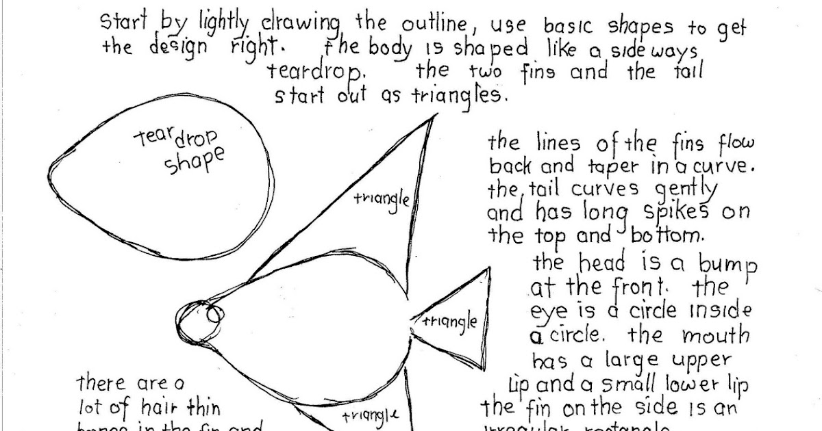 How to Draw Worksheets for The Young Artist: How To Draw An Angelfish ...