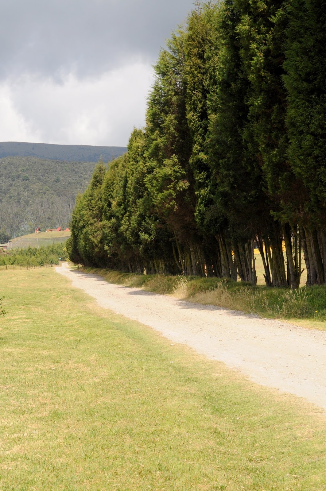 Amaneciendo en el Neusa | Una antología de aventuras