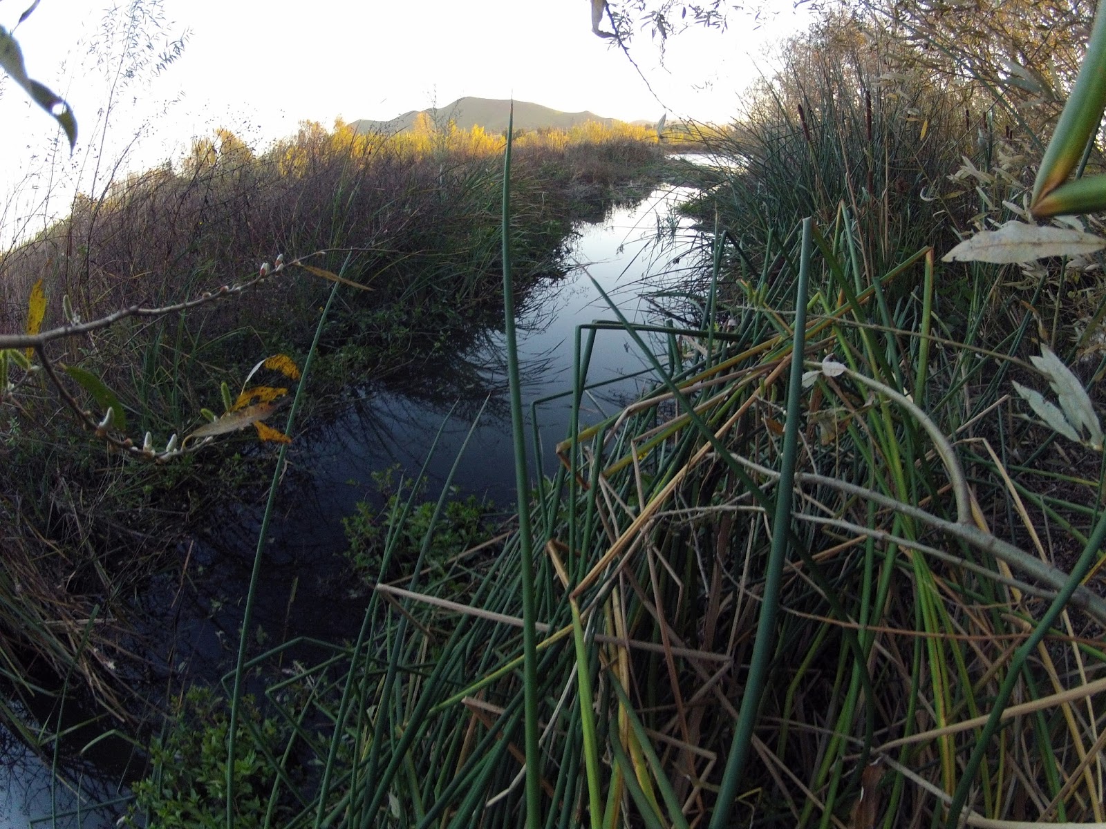 Fishing the Santa Ana River for Bass and Sunfish - Hunting the River King
