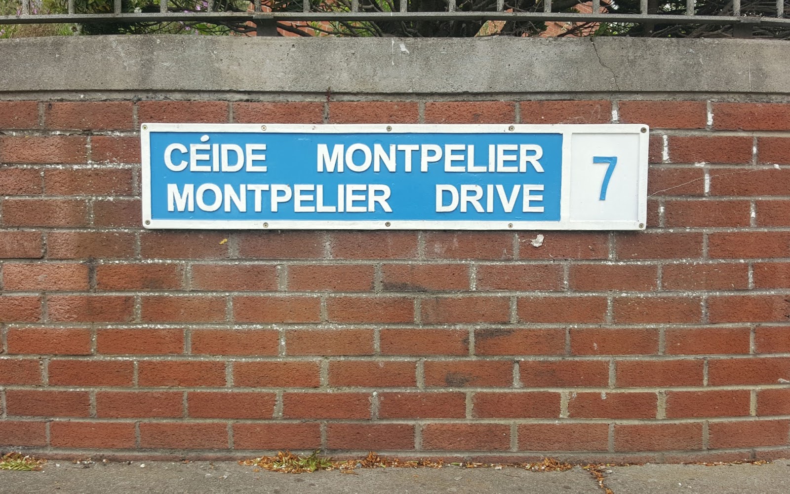 Cuffe Street: Signs for Improvement