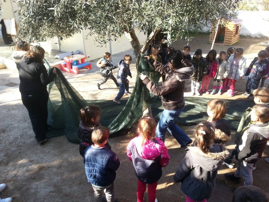 Παπαδάκειο Νηπιαγωγείο Γλυφάδας: 2017