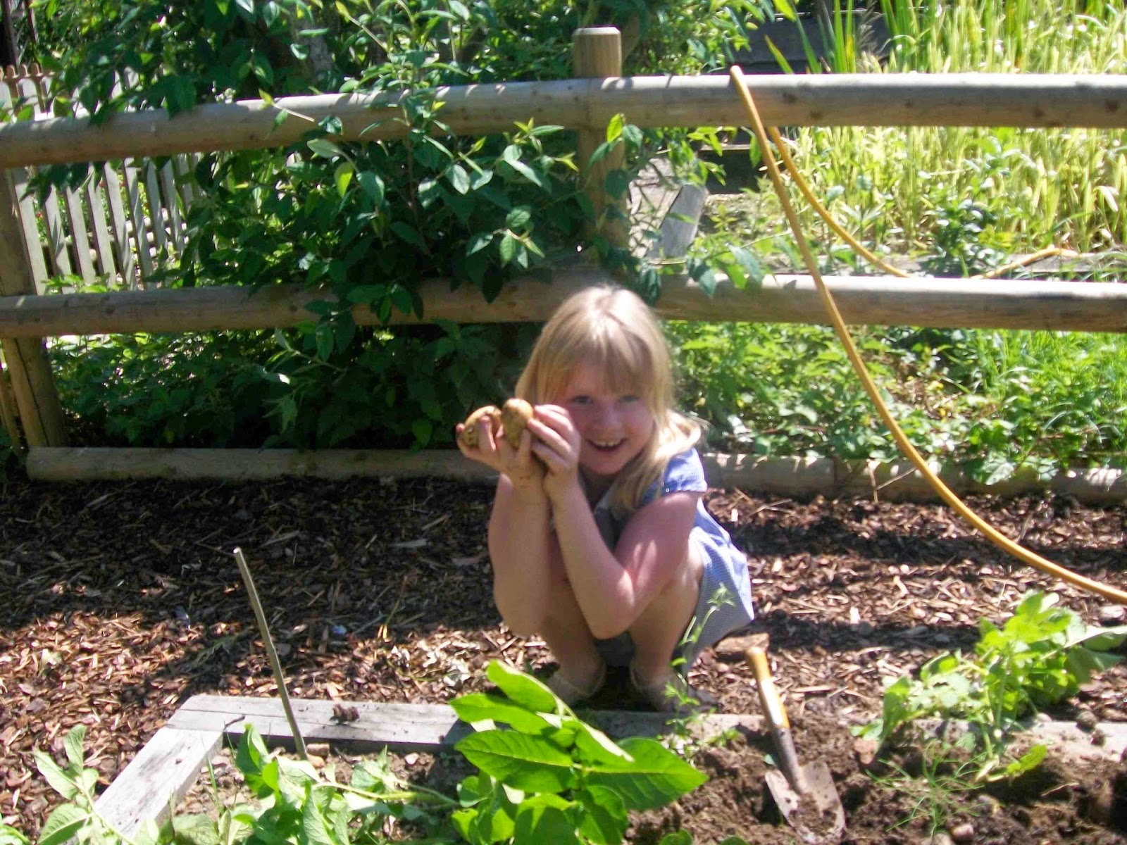 Upper Arley CofE Primary School Blog!: July 2014