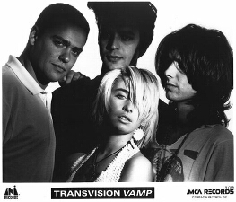COVER NERD! meets DYLAN COVERS - Transvison Vamp - 'Can You Please ...