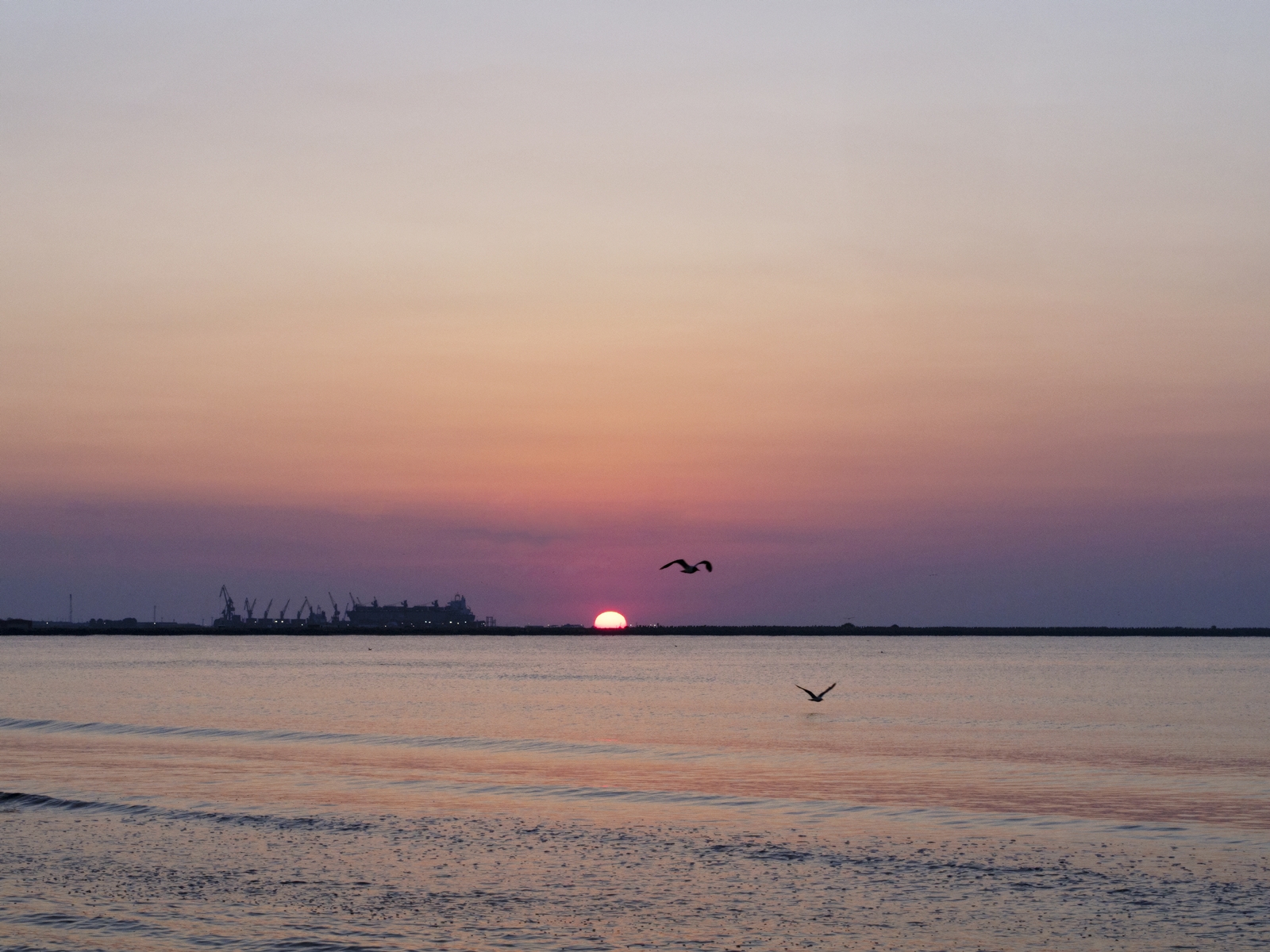 Cristian Rusu Photography: 07/01/2016 - 08/01/2016