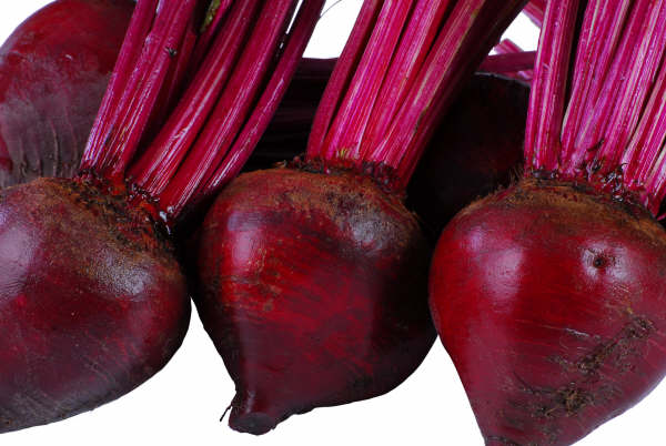 Tareas : Betabel (Betabel rojo, Betabel dorado, Betabel de Chioggia)